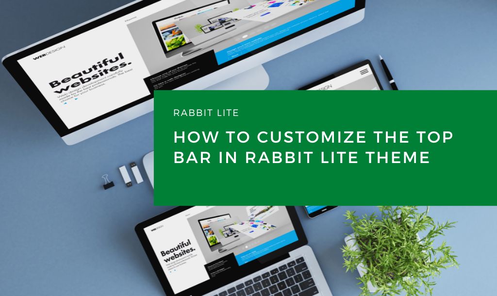 Customize Top Bar in Rabbit Lite Theme Easily